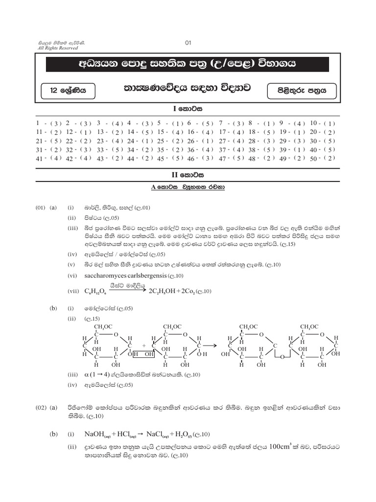 SFT Model Paper Grade 12-1 Answers | PDF
