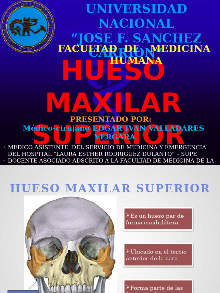 Clase 11-Maxilar Superior | PDF