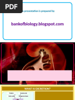 Excretory Products and Their Elimination Class 11 Notes Biology | PDF ...