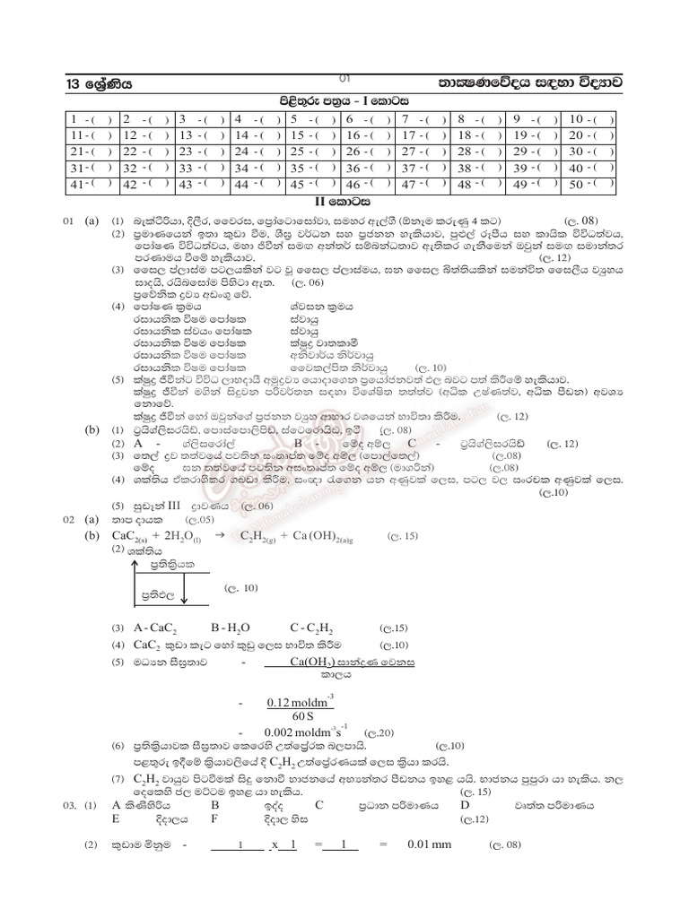 SFT Model Paper Grade 13-2 Answers | PDF