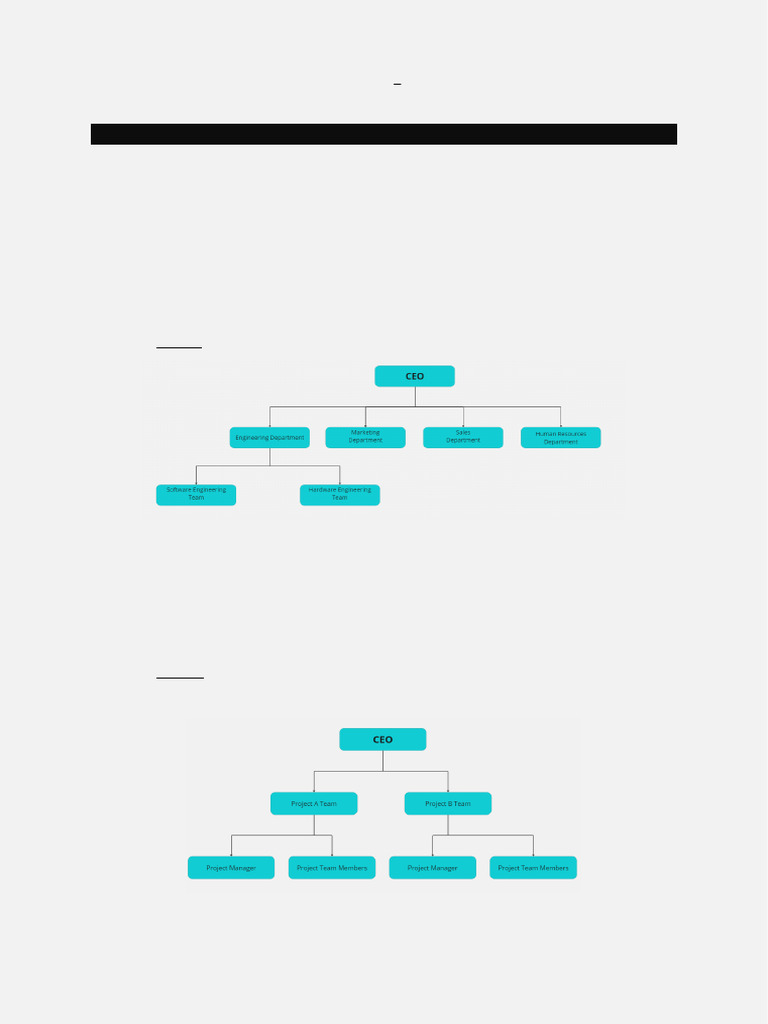 Activity #4b Structures and Cultures | PDF | Business | Social Psychology
