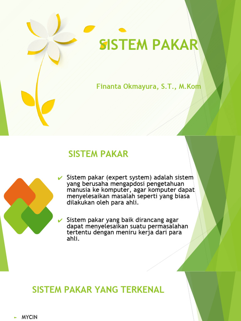 Sistem Pakar | PDF