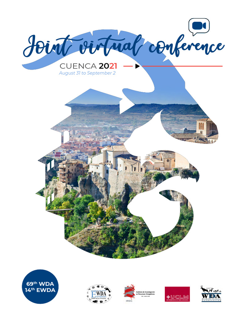 Abstracts Cuenca Virtual | PDF