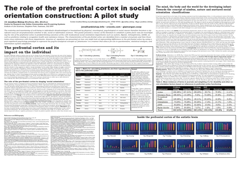 The Role of The Prefrontal Cortex in Social Orientation Construction: A ...
