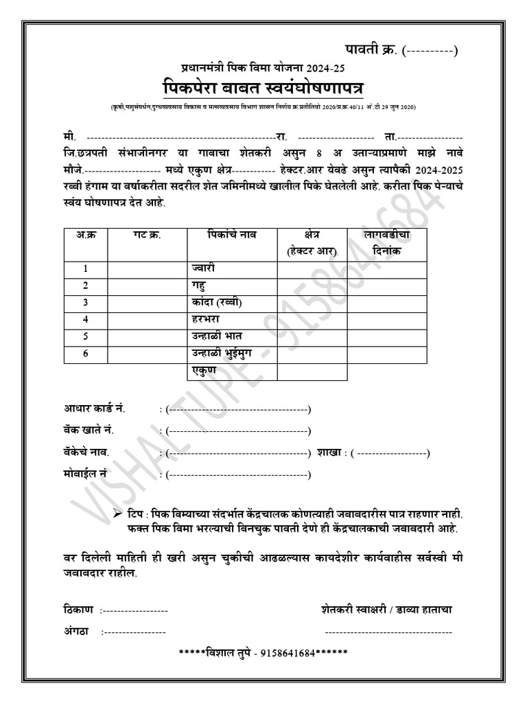 Pik Pera 2024-2025 | PDF