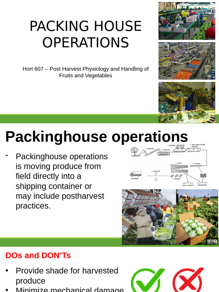 Packing House Operations Guide | PDF | Onion | Sulfur Dioxide