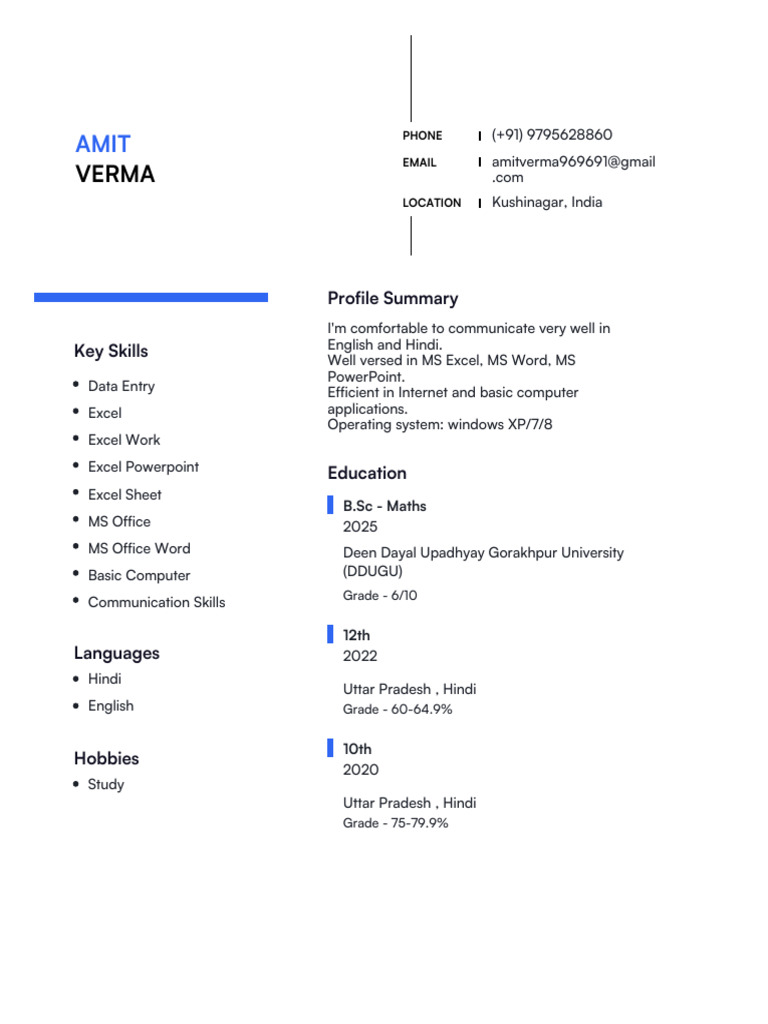 Amit Verma CV Resume | PDF