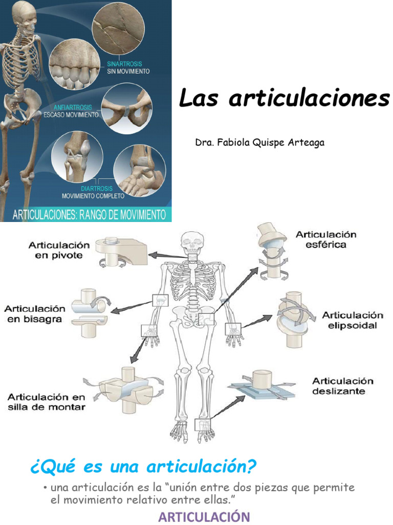 Art Icu Laci Ones | PDF | Articulación | Codo