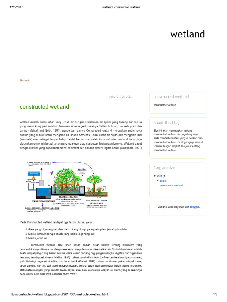 Wetland - Constructed Wetland | PDF