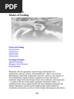 Minimum Enclosure Sizes for Exotic Animals | PDF | Crocodile | Zoo