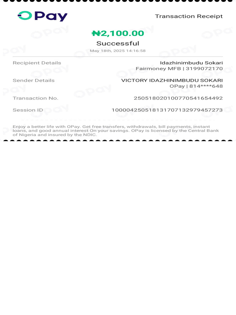 Successful OPay Transaction Receipt | PDF