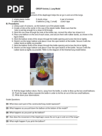 Lung Model With Two Lungs and Diaphragm Lab | PDF