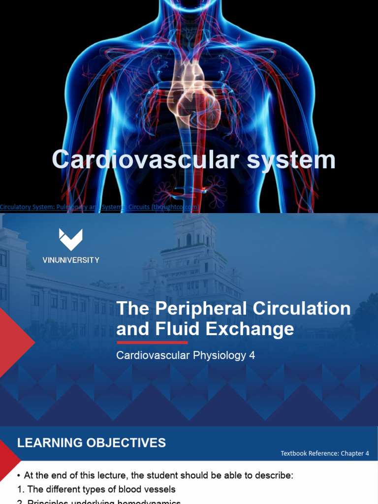 +Physiology+of+Peripheral+Circulation | PDF | Capillary | Circulatory ...