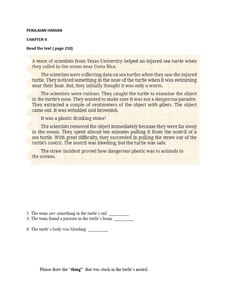PH Chapter 4 - Sea Turtle | PDF