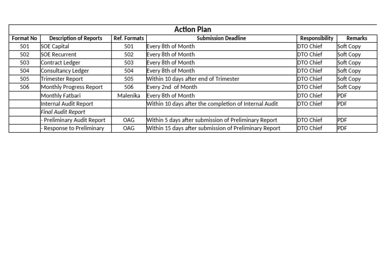 Action Plan Account | PDF