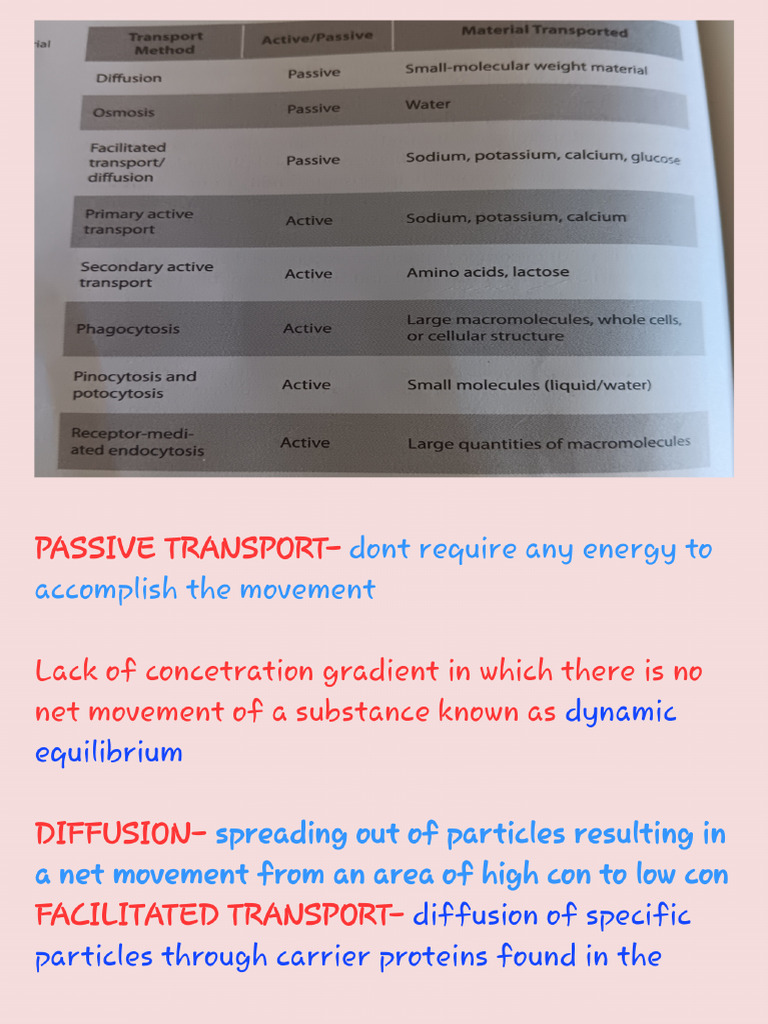 Transport Mechanism - 231019 - 231459 | PDF