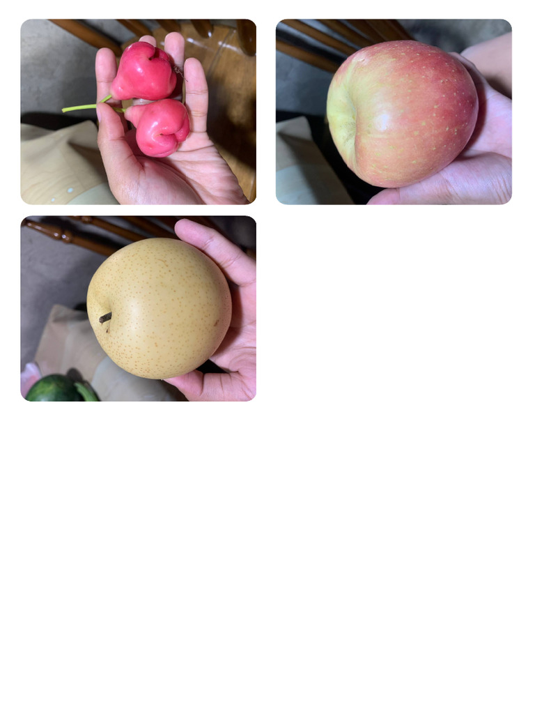 Land Preparation Is The Process of Preparing The Land For Seeding and Plantation. A Land, If ...