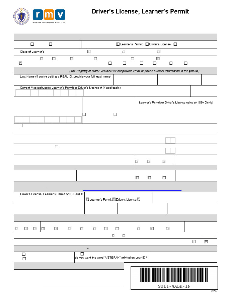LIC100 - License and ID Application - Fillable - 0824 - 0 | PDF | Voter Registration | Driver's ...