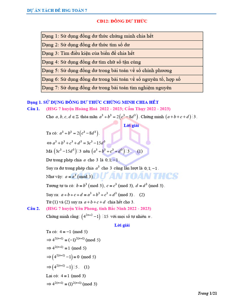 Bai Toan Dong Du Thuc Trong Cac de Thi Hoc Sinh Gioi Toan 7 | PDF