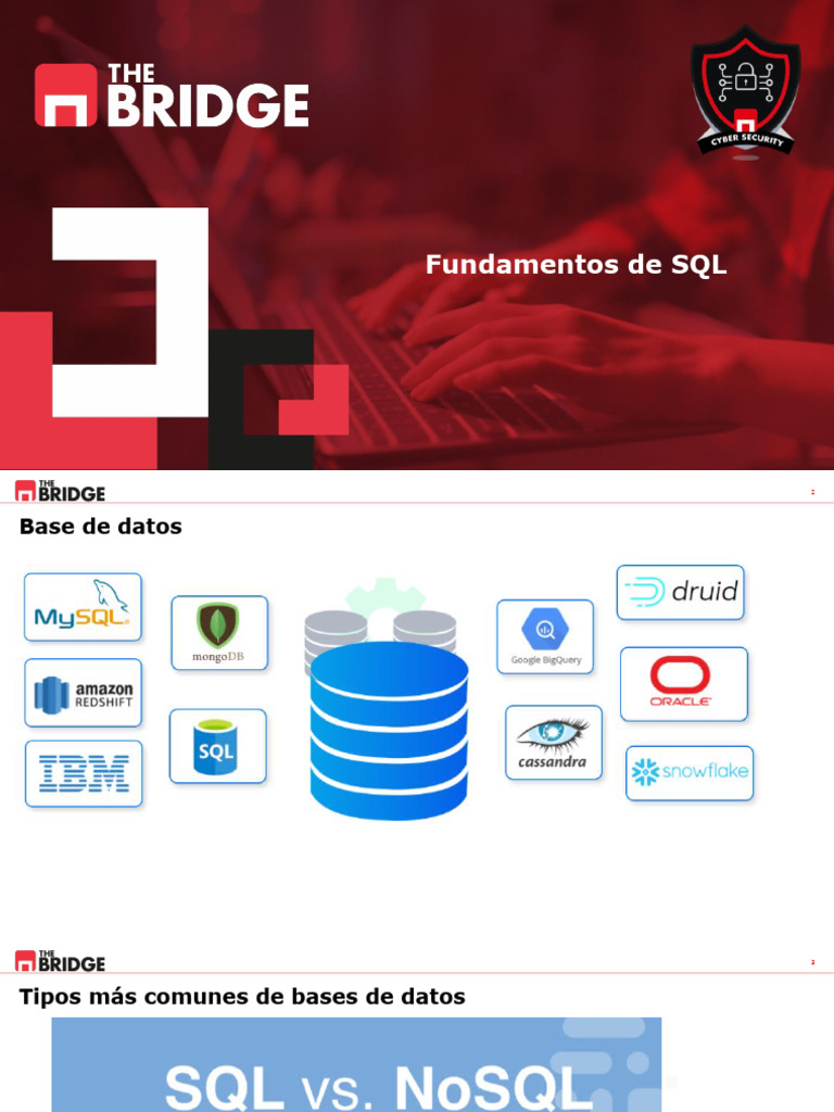 Fundamentos de SQL | PDF