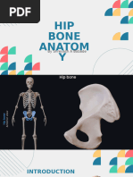 Mnemonics for Skeleton & Muscles | PDF | Human Leg | Foot