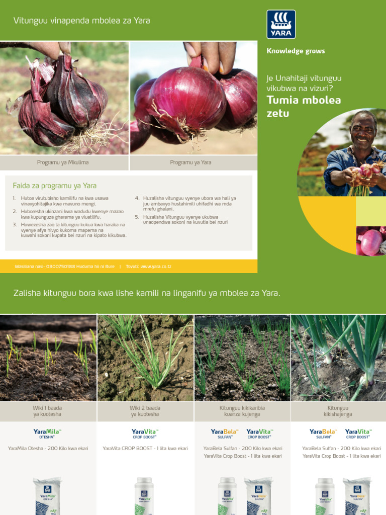 Yara Tanzania Onion Dry Season Program Brochure 01 | PDF