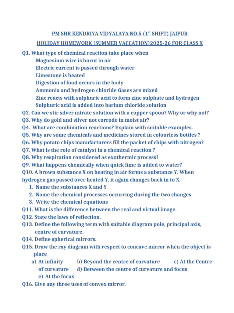 Class 10 Summer H. Work 2025-26 | PDF