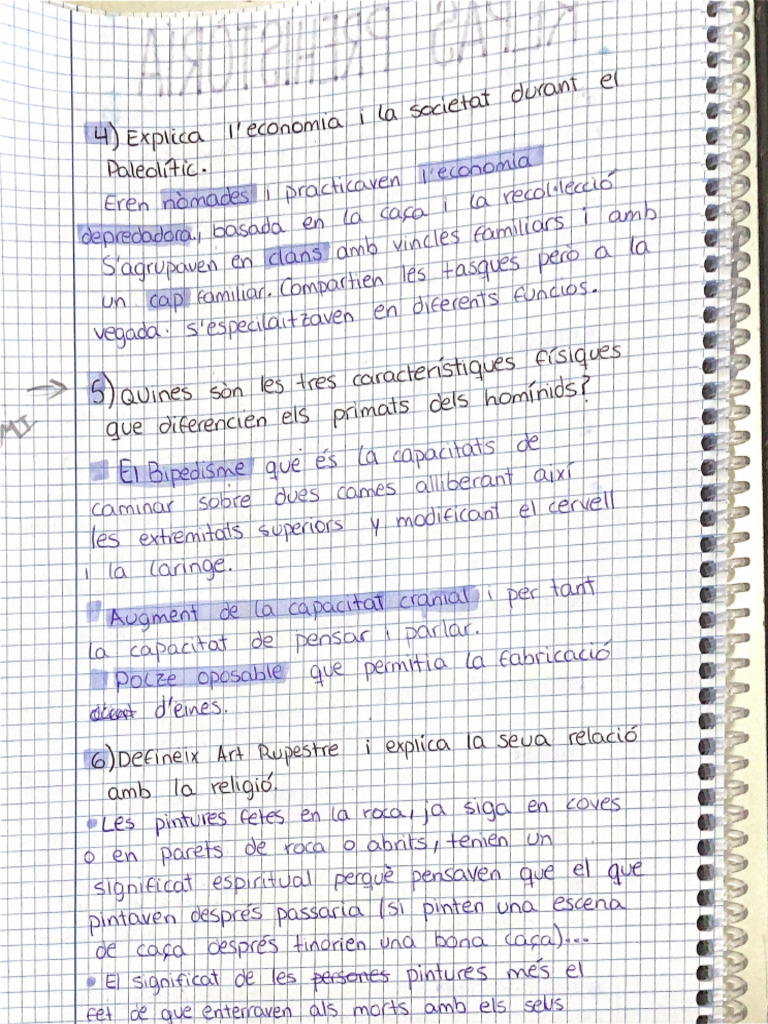 Documento Escaneado 8-10-24 (14.00.42) | PDF