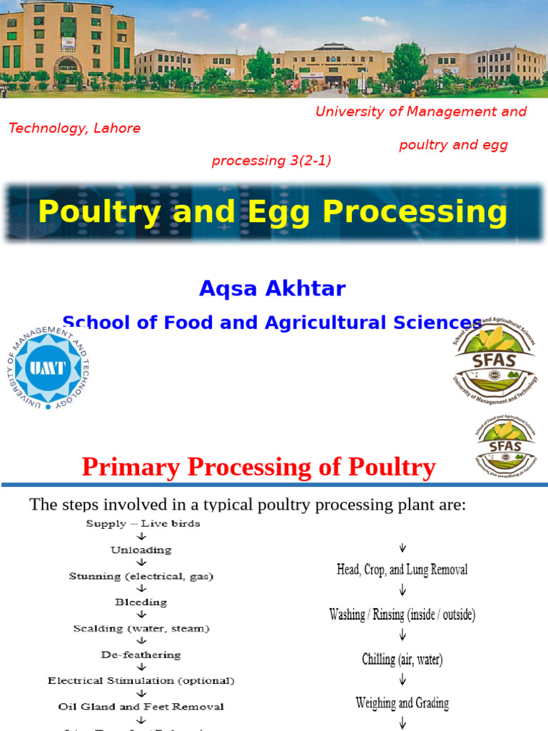 Lecture 9 PEP New | PDF | Animal Welfare