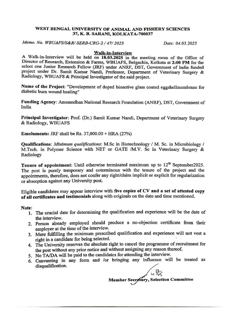 Employment Project | PDF