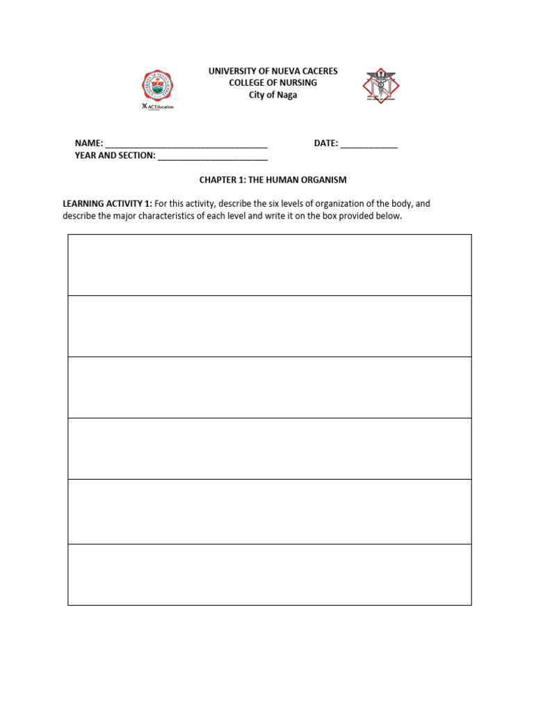 Chapter 1 LEARNING ACTIVITIES | PDF