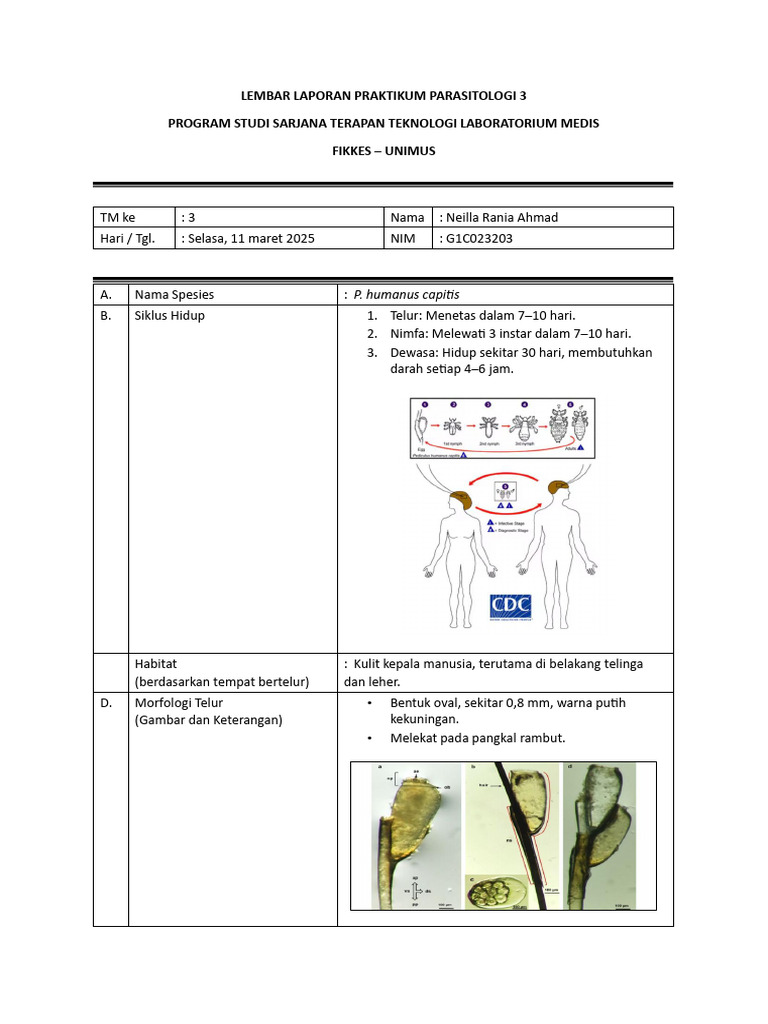 Format Kosongan Laprak Parasit 3 (Kutu Humanus + Foto) | PDF