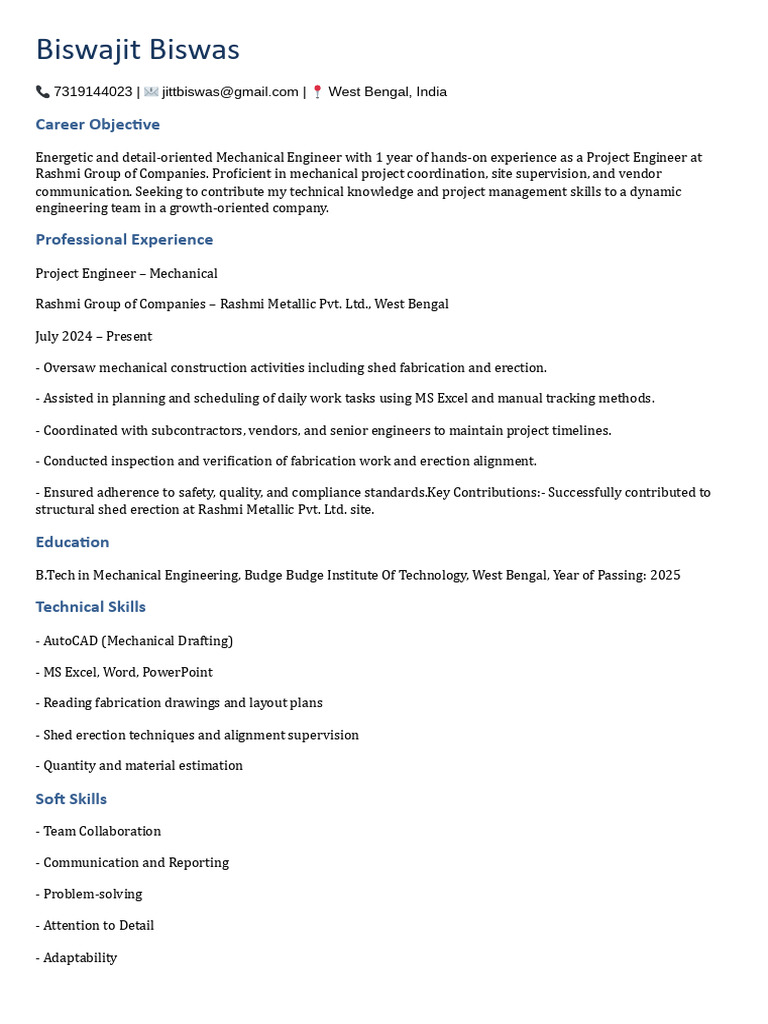 Biswajit Biswas CV - Docx 20250609 181833 0000 | PDF