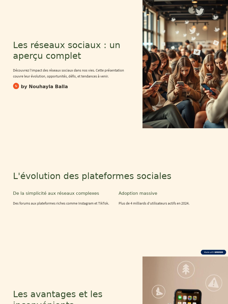Les Reseaux Sociaux Un Apercu Complet | PDF