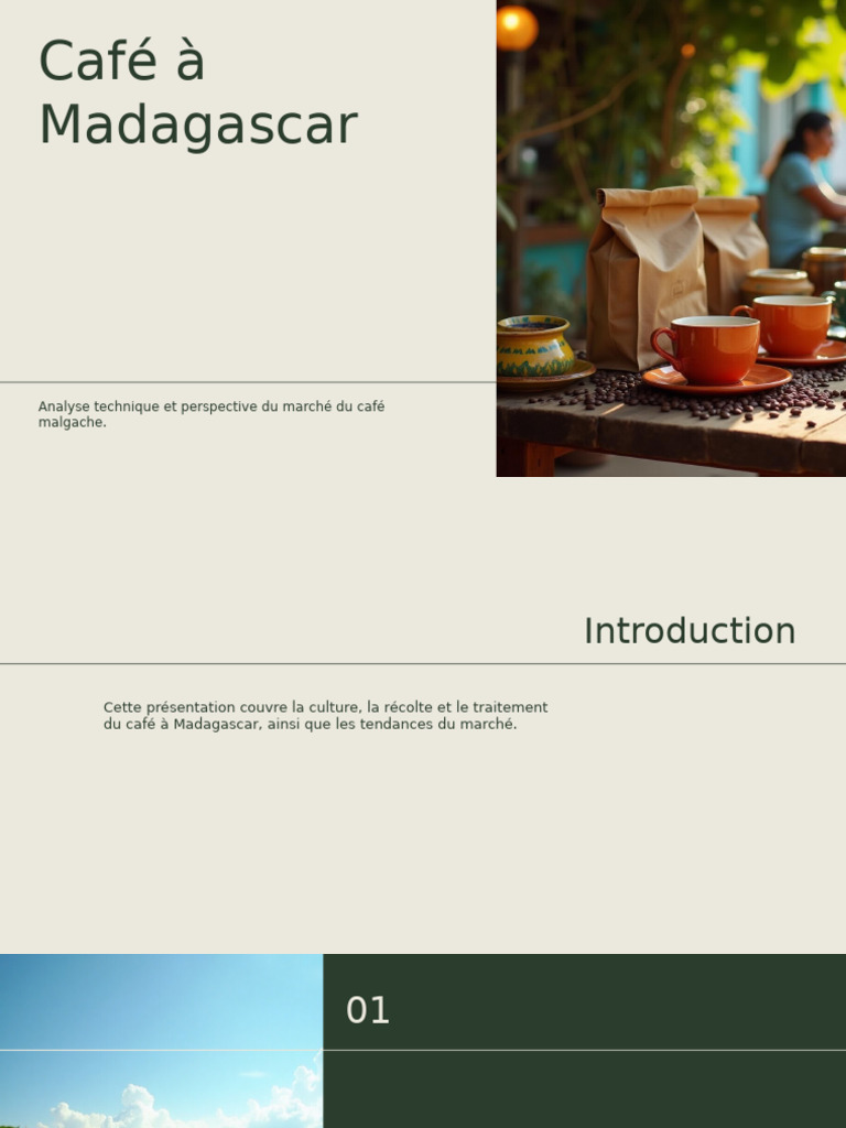 Café de Madagascar : Production et Marché | PDF | Café | Agriculture ...