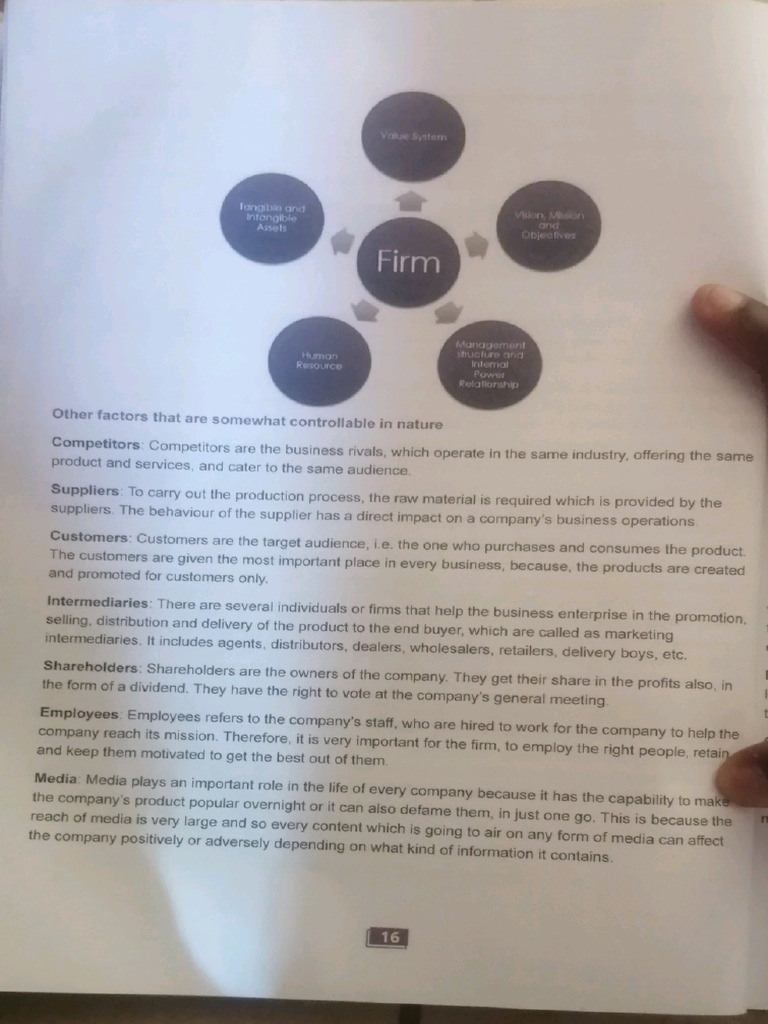 Back Lays | PDF