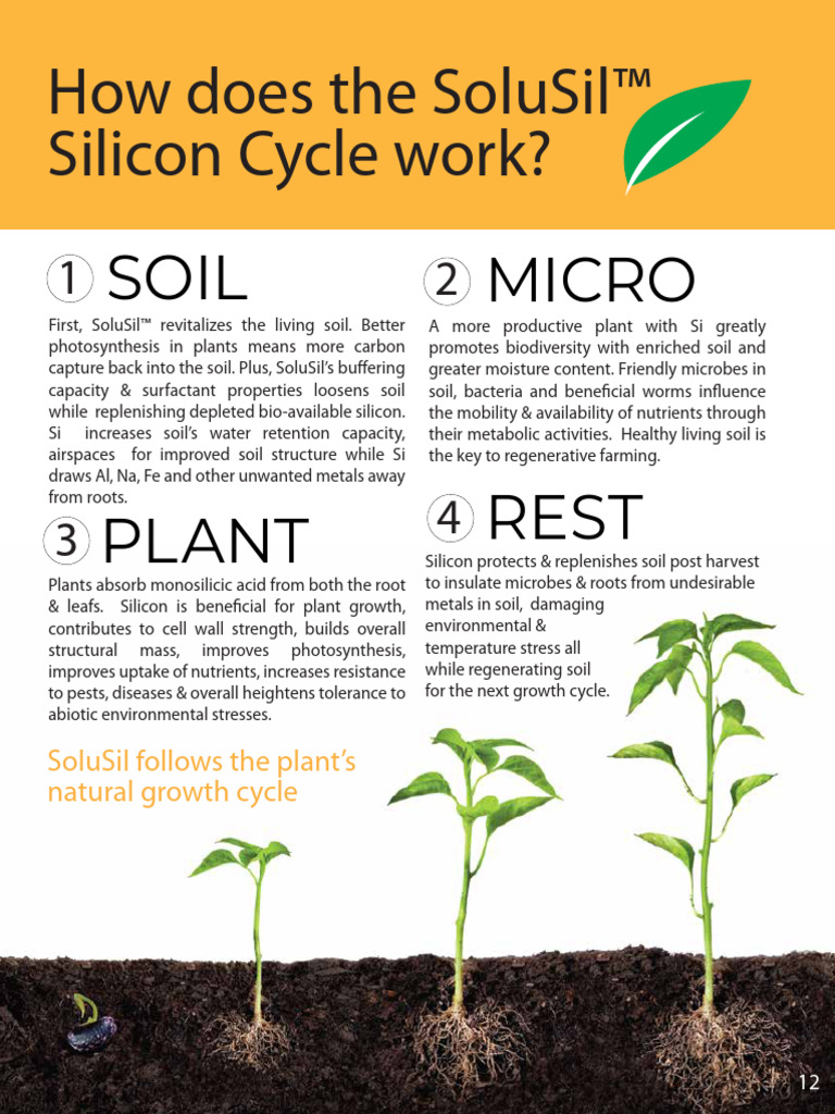SoluSil Silicon Cycle | PDF
