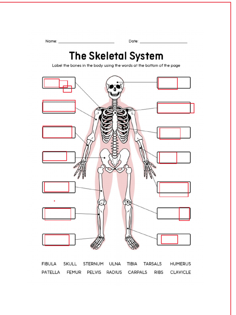 Science 6 Worksheet | PDF