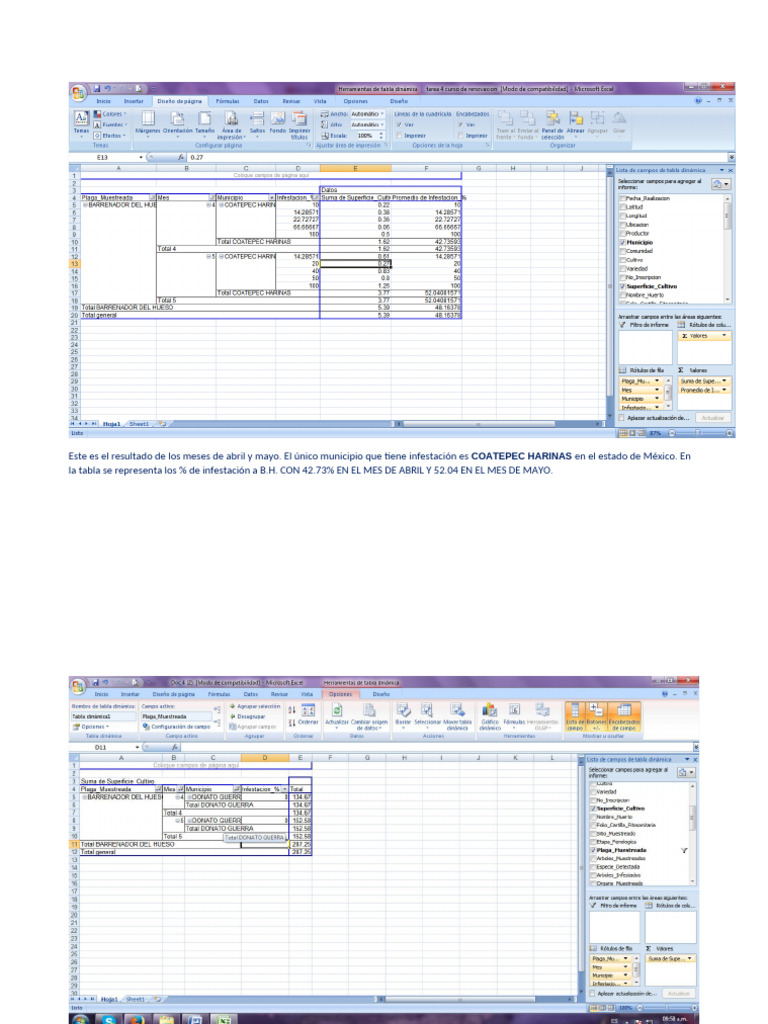 4 Tarea Renovacion Pfa | PDF