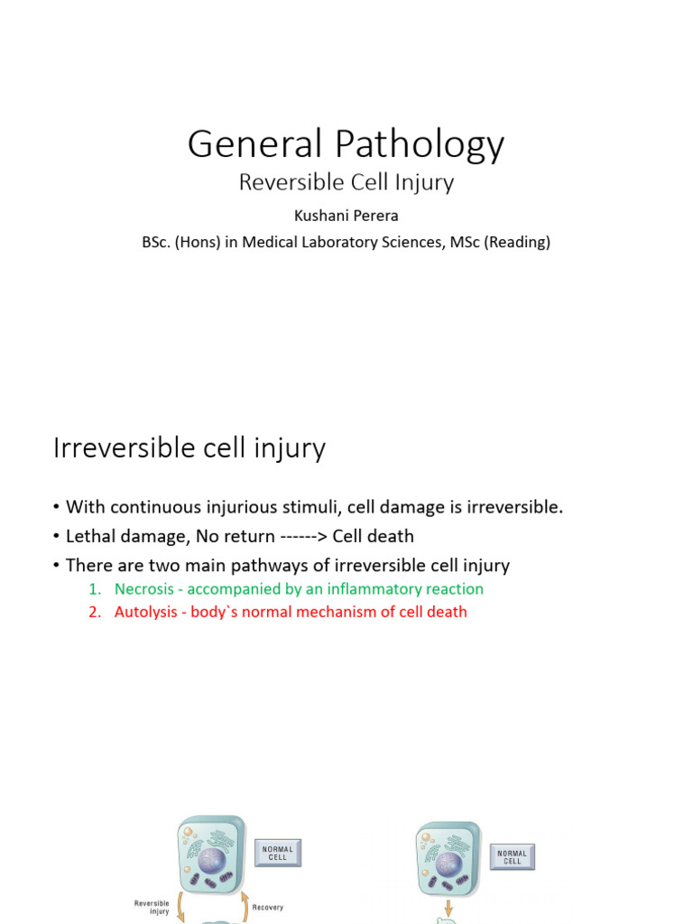 BHCS1004PP 3 Irreversible Cell Injury | PDF | Necrosis | Apoptosis