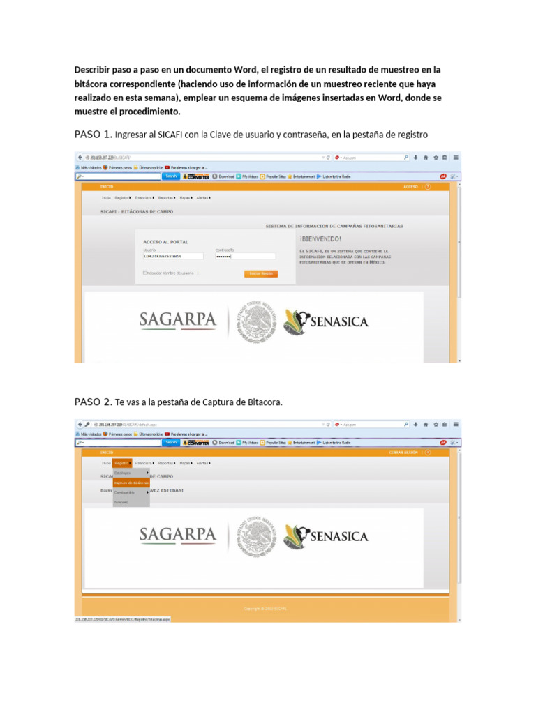 5 Tarea Renovacion Pfa | PDF