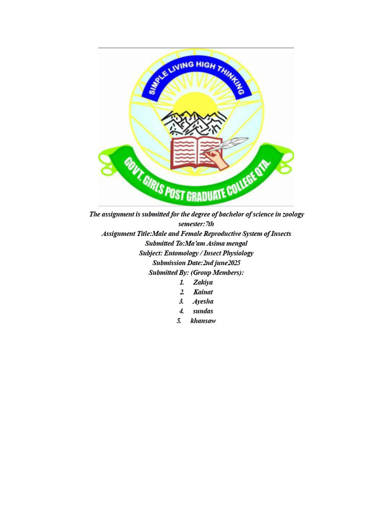 The Assignment | PDF