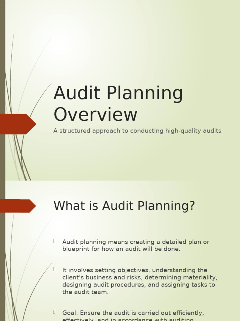 Effective Audit Planning Guide | PDF