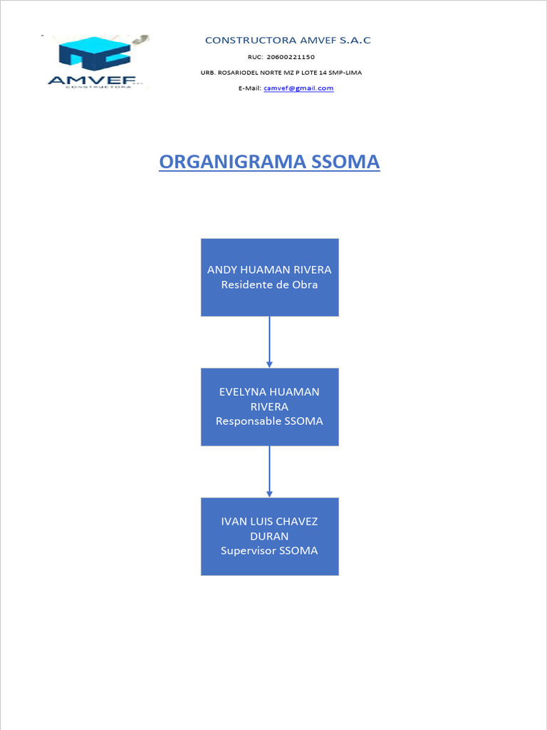 ORGANIGRAMA - SSOMA | PDF