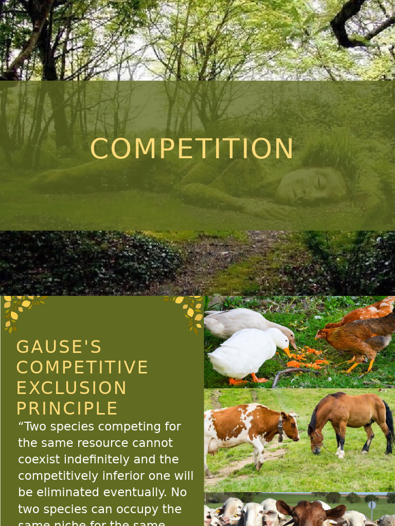 Organism and Population-1 | PDF