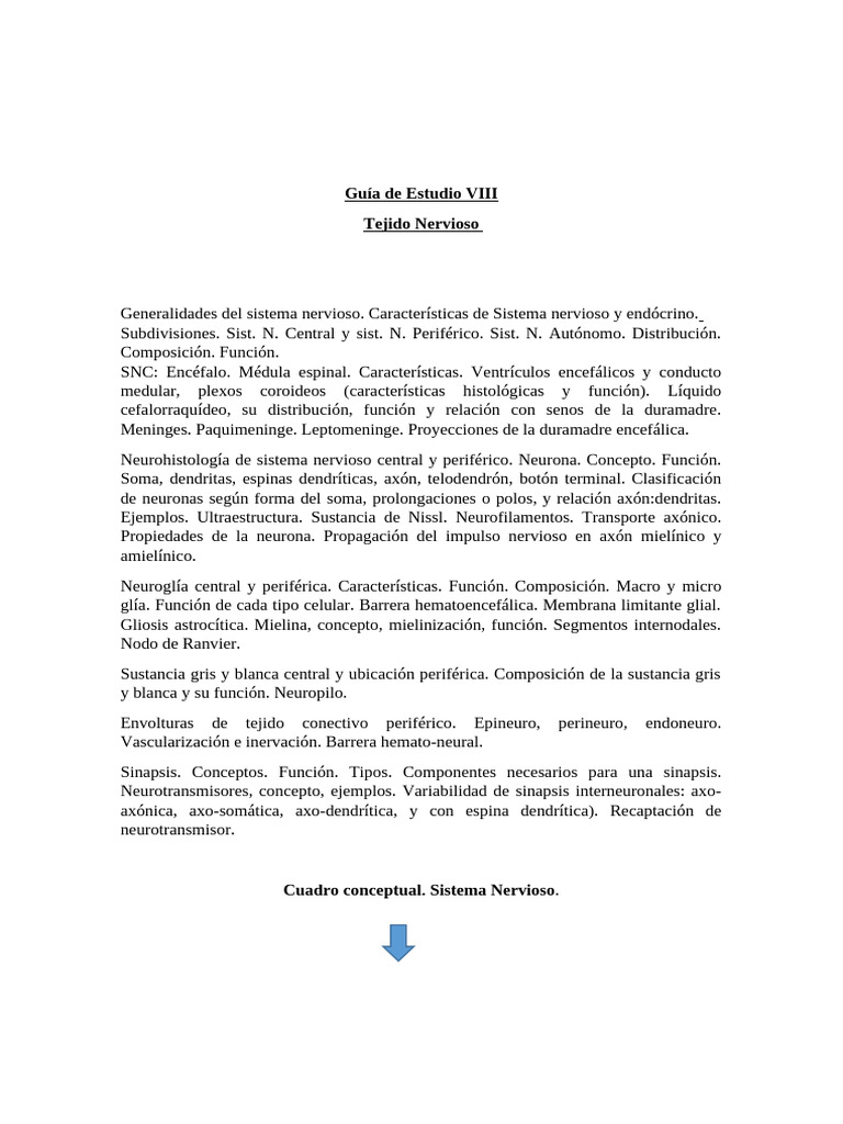 GuÃ - A de Estudio VIII-T. Nerv. | PDF