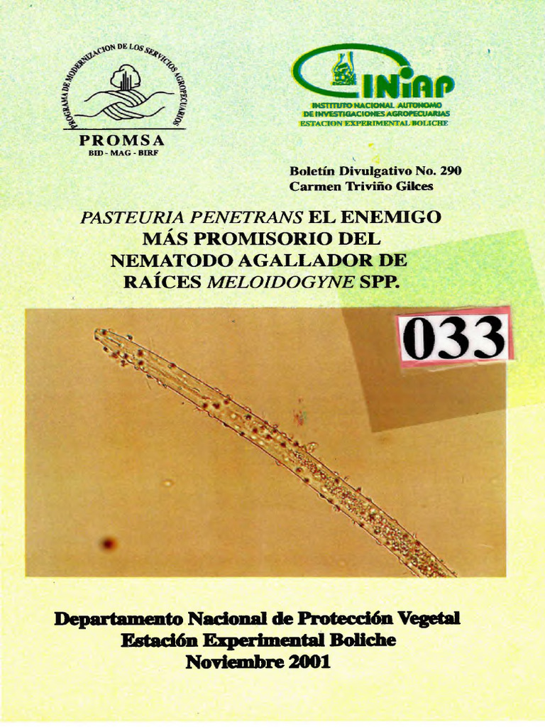 Controlador de Nematodos Pasteuria Penetrans | PDF