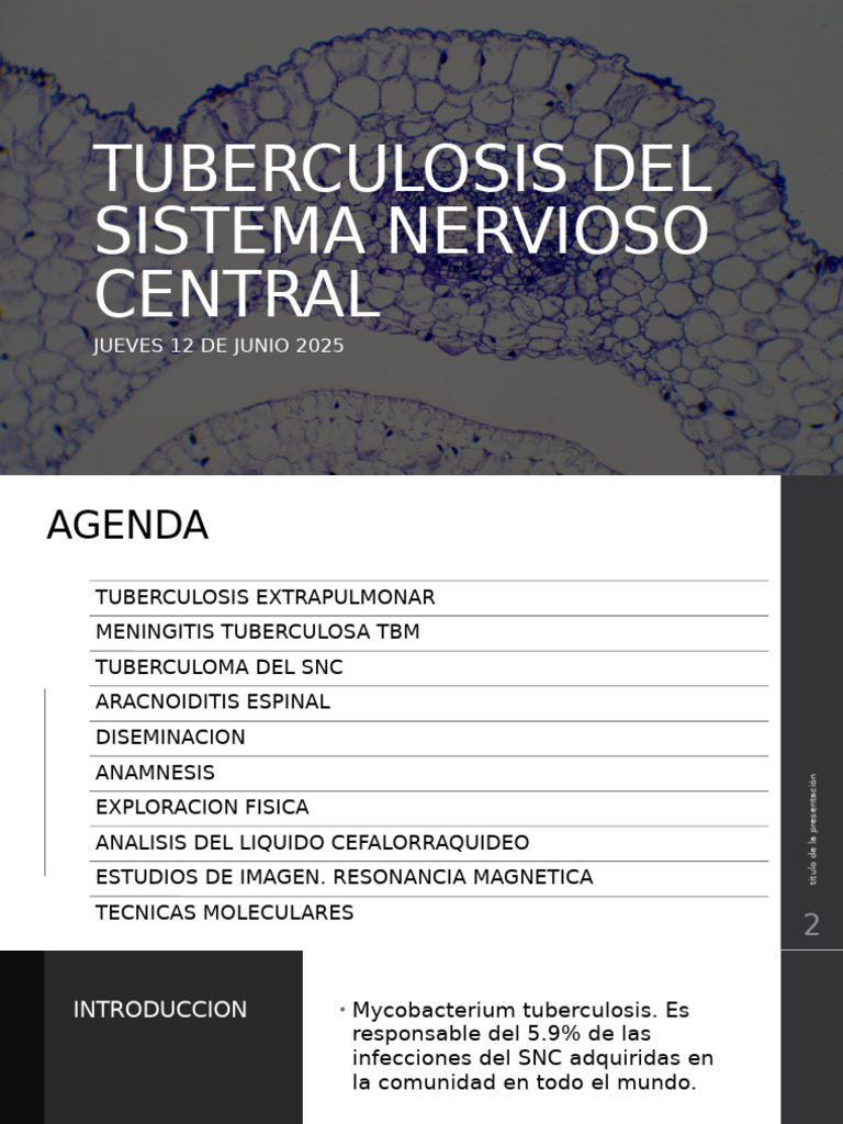 Tuberculosis Del Sitema Nervioso Central | PDF | Tuberculosis | Meningitis