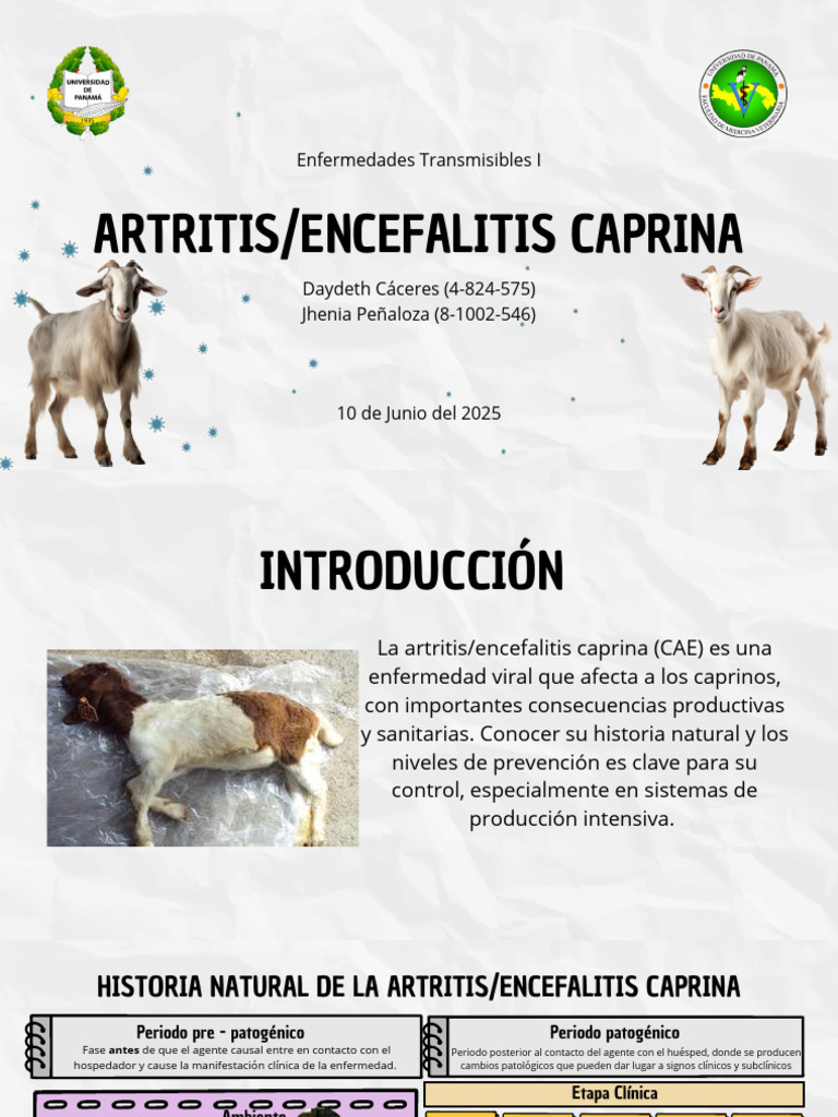 ArtritisEncefalitis Caprina | PDF | Sistema inmune | Infección