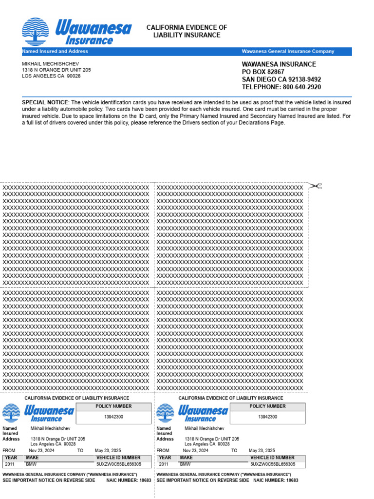 Vehicle Identification Cards | PDF | Insurance